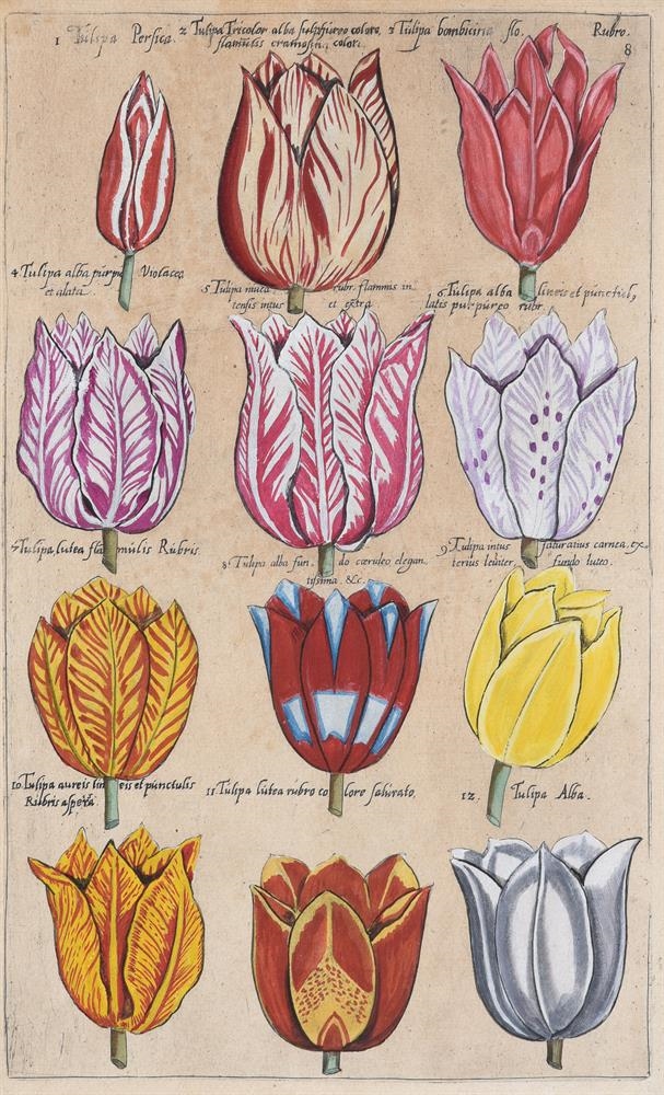 John Uzzell Edwards | A SET OF FOUR, FLOWERS | MutualArt