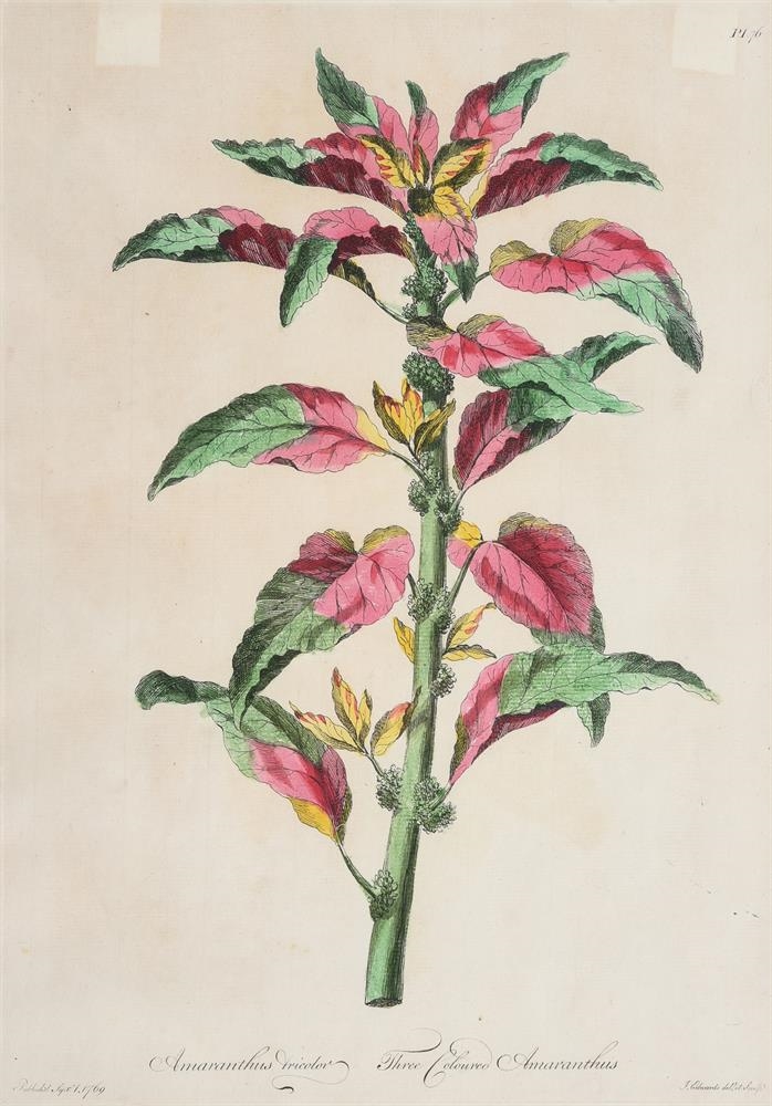 John Uzzell Edwards | A SET OF FOUR, FLOWERS | MutualArt