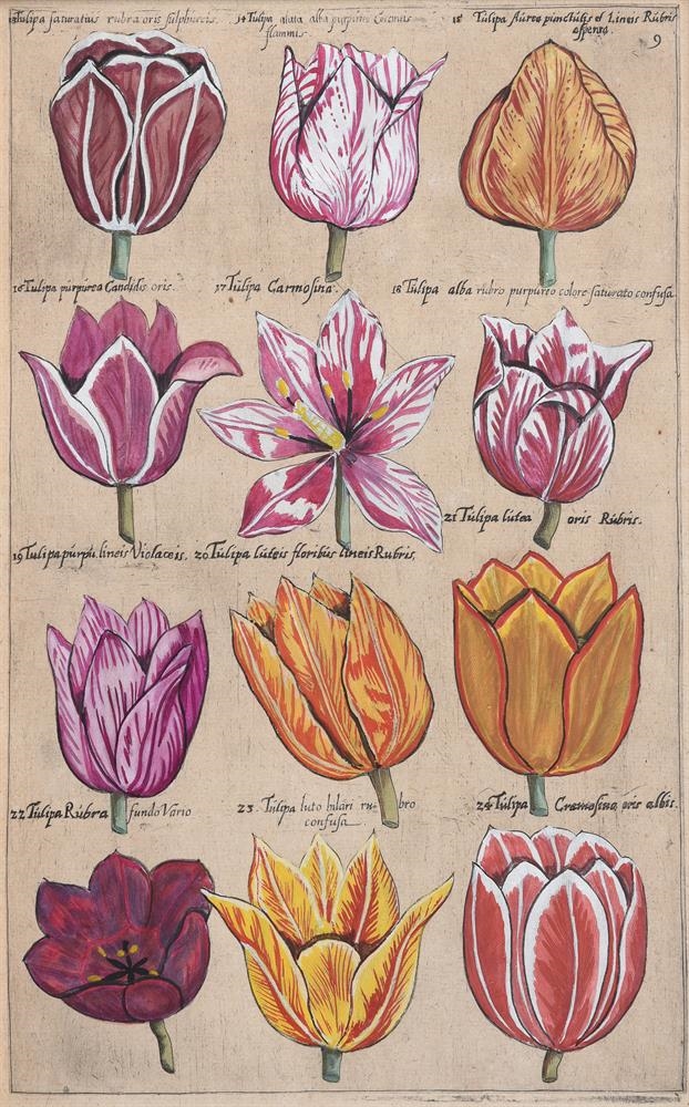 John Uzzell Edwards | A SET OF FOUR, FLOWERS | MutualArt