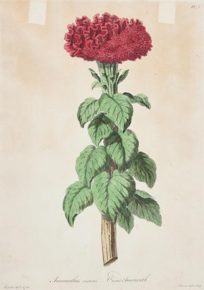 John Uzzell Edwards | A SET OF FOUR, FLOWERS | MutualArt