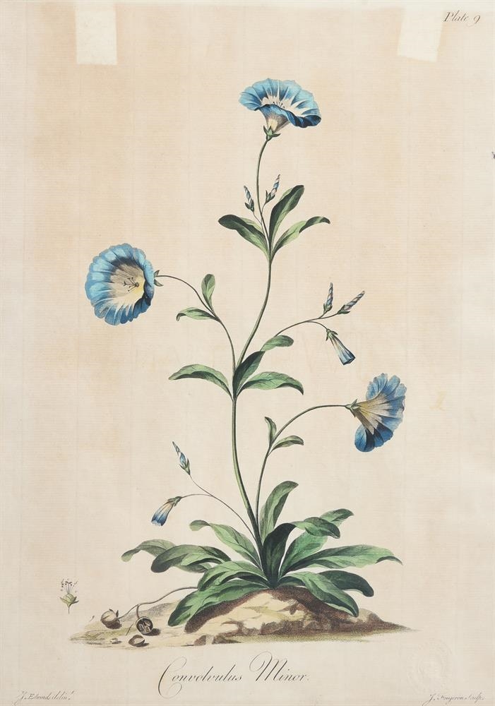 John Uzzell Edwards | A SET OF FOUR, FLOWERS | MutualArt