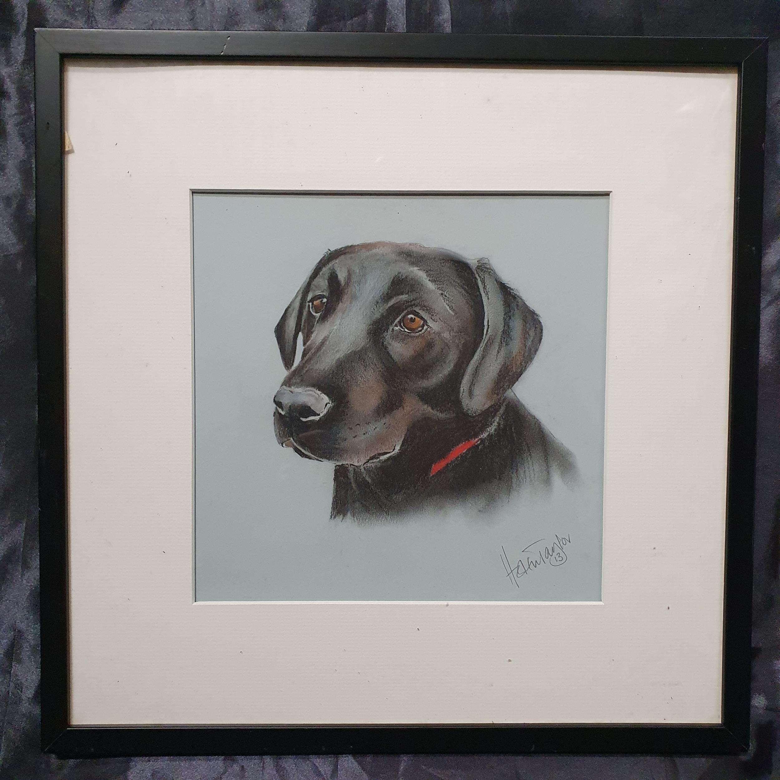 Helen Taylor | A Pastel and Crayon Drawing of a Labrador | MutualArt