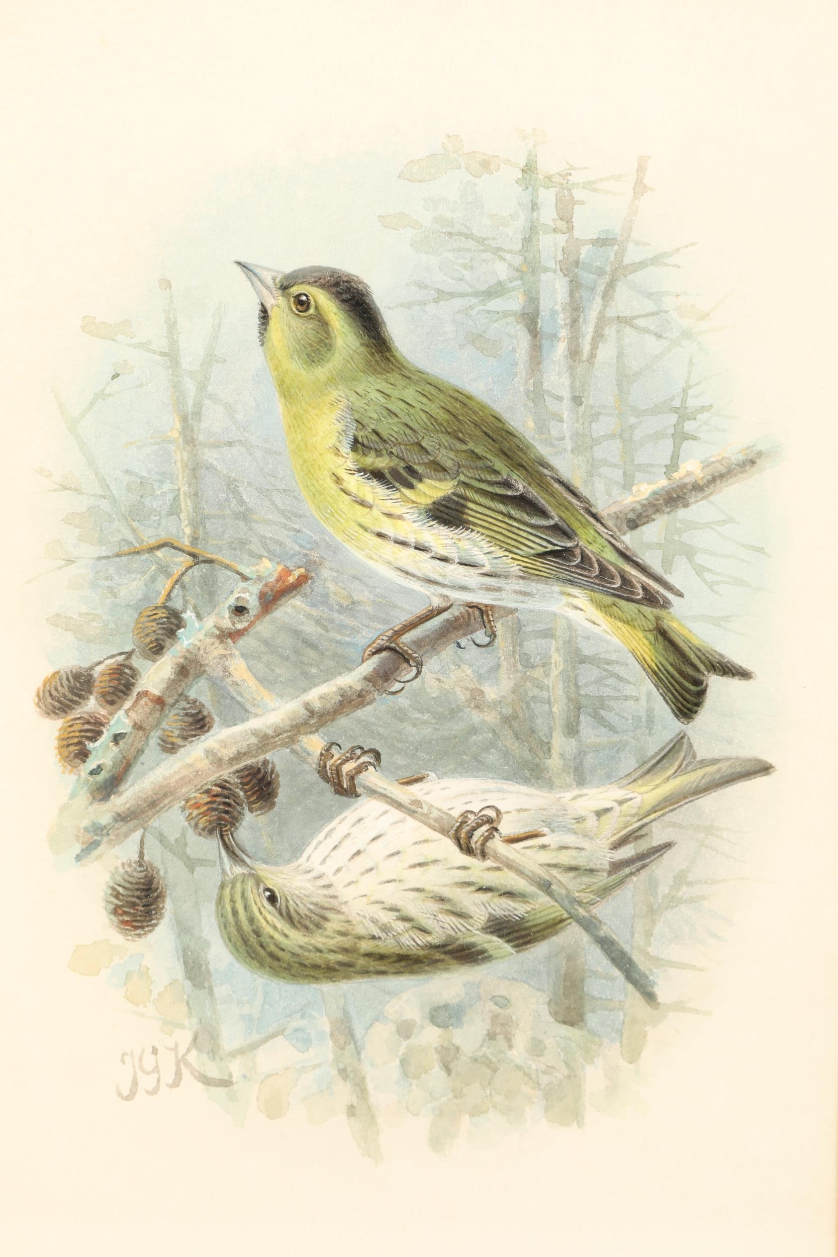 Johannes Gerardus Keulemans | 'House Martin' | MutualArt