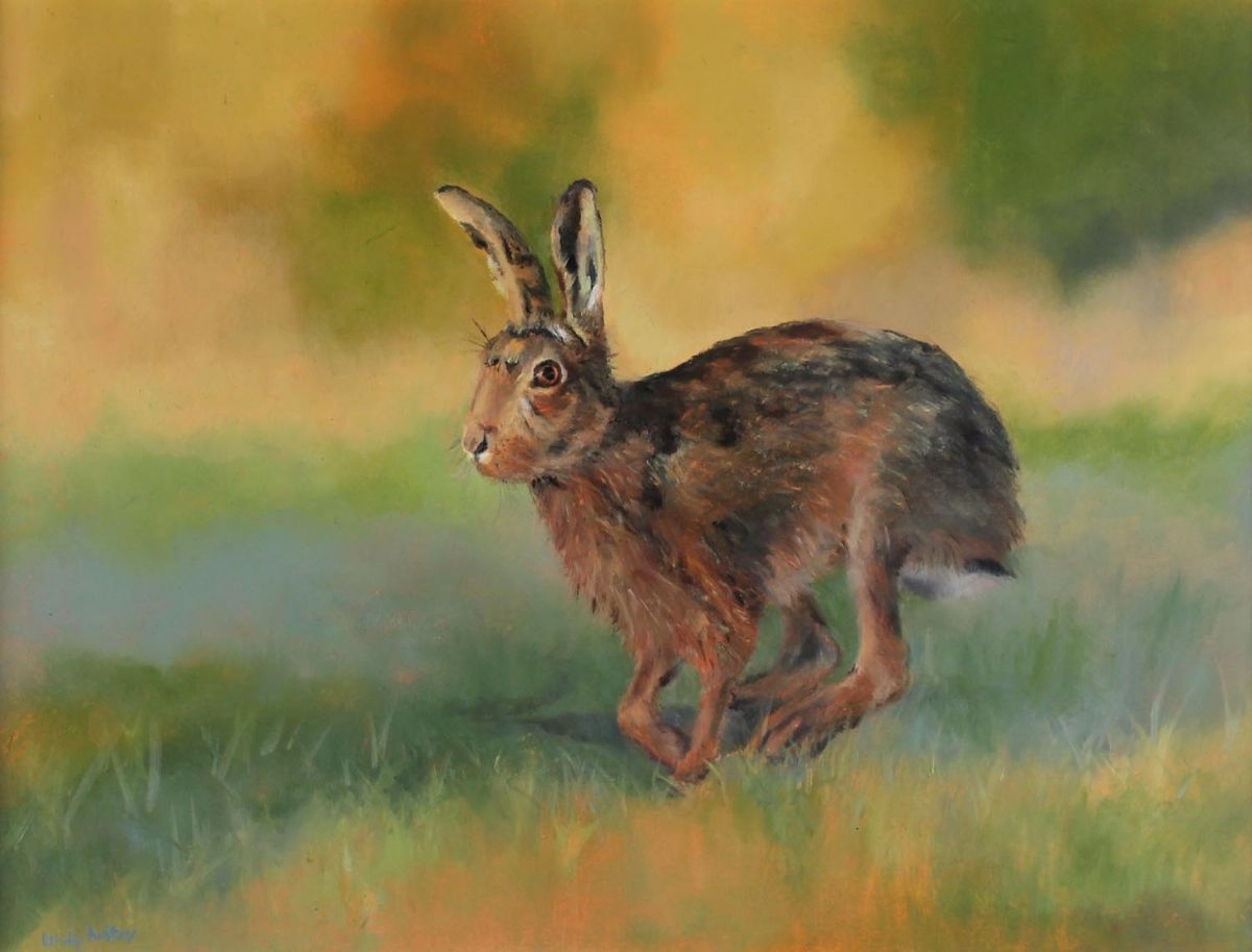 Lindy Anstey | Irish Hare | MutualArt