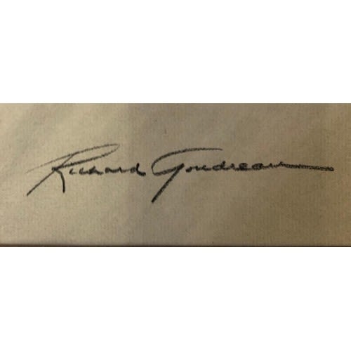 Richard Goudreau | PORTRAIT of Andre Agassi | MutualArt