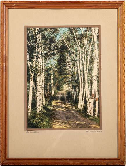 Wallace Nutting | A Woodland Cathedral | MutualArt