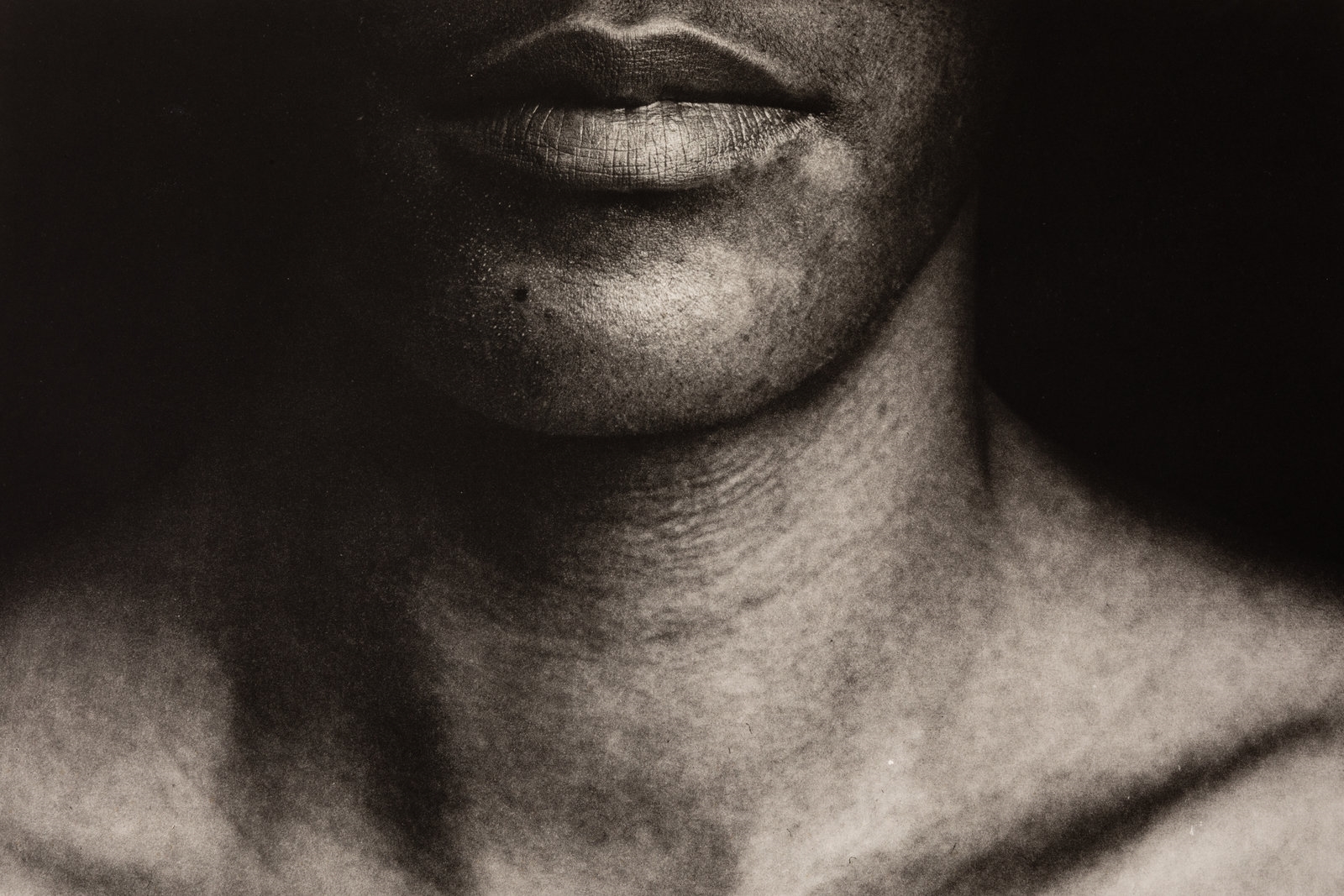 Lorna Simpson | Counting (1991) | MutualArt