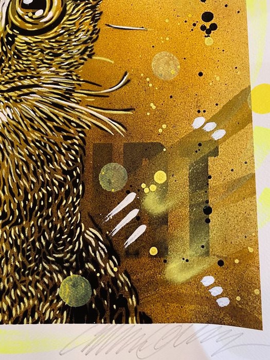 C215 | Colonel Moutarde (2021) | MutualArt
