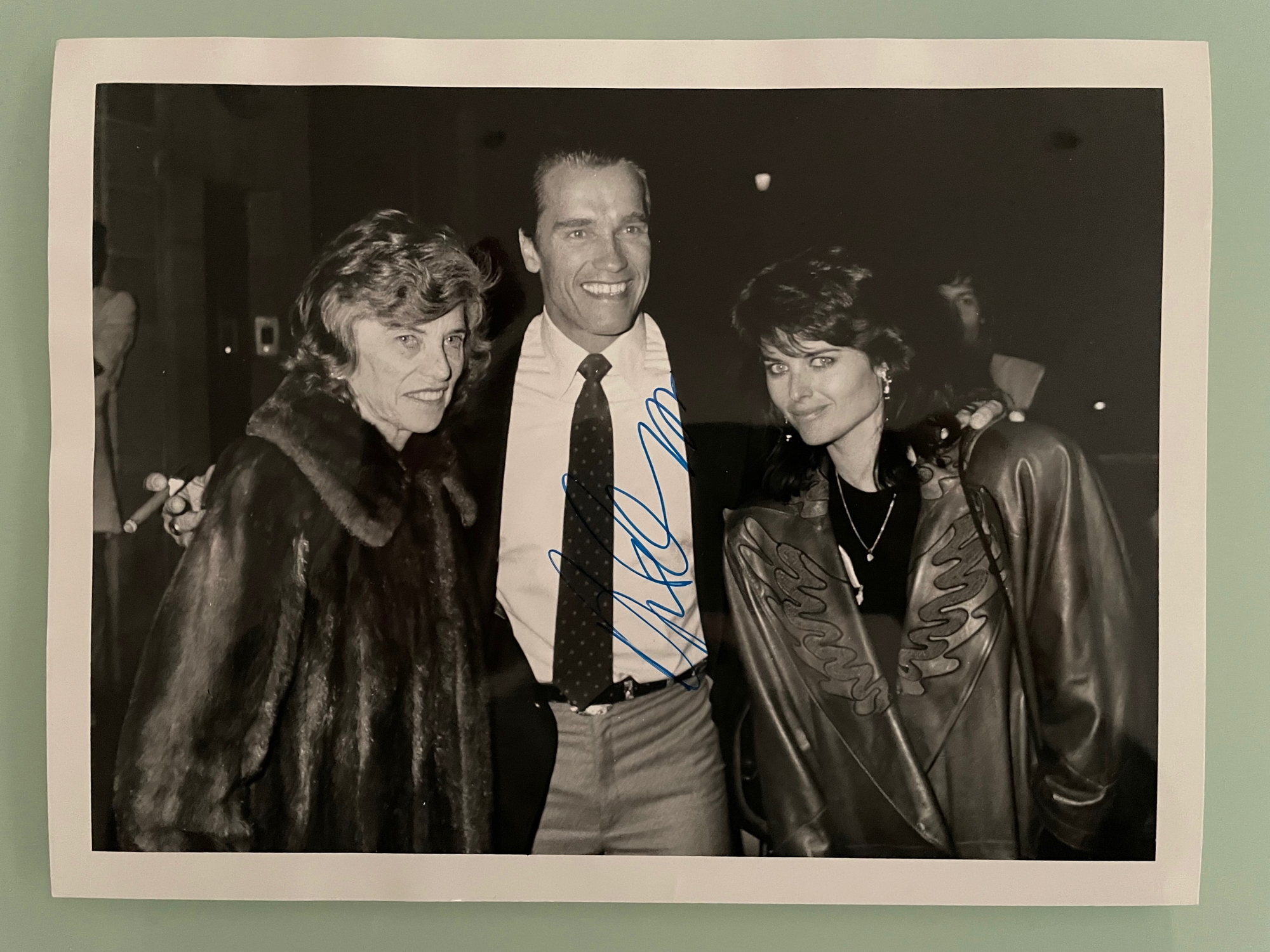 Gérard Fouquet | Arnold Schwarzenegger (2012) | MutualArt
