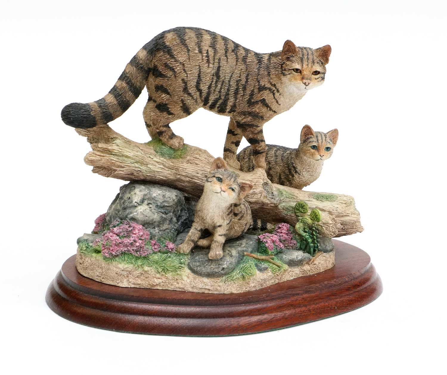 Ray Ayres | Highland Secret (Scottish Wildcat) | MutualArt