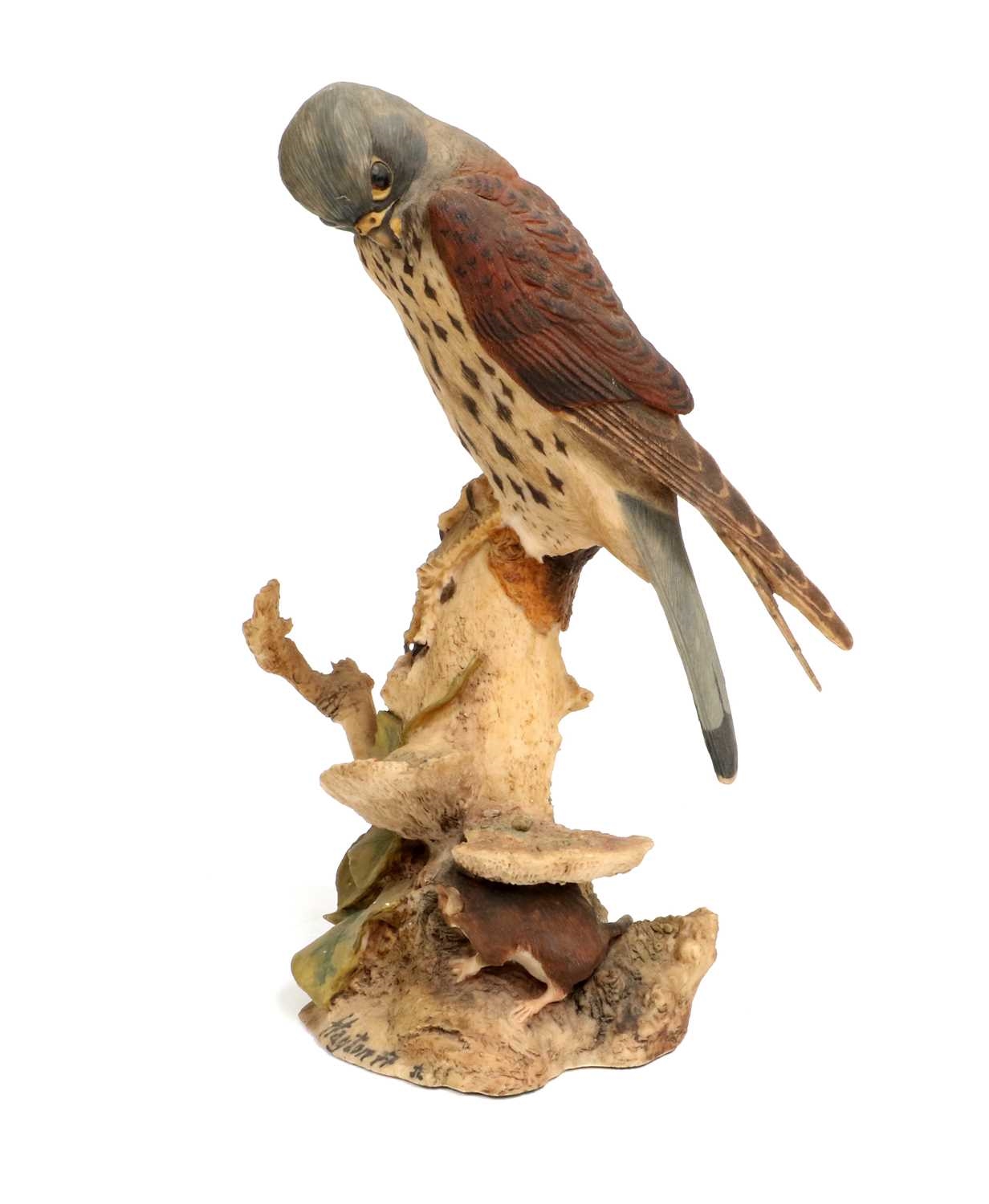 Victor Hayton | Kestrel and Mouse | MutualArt