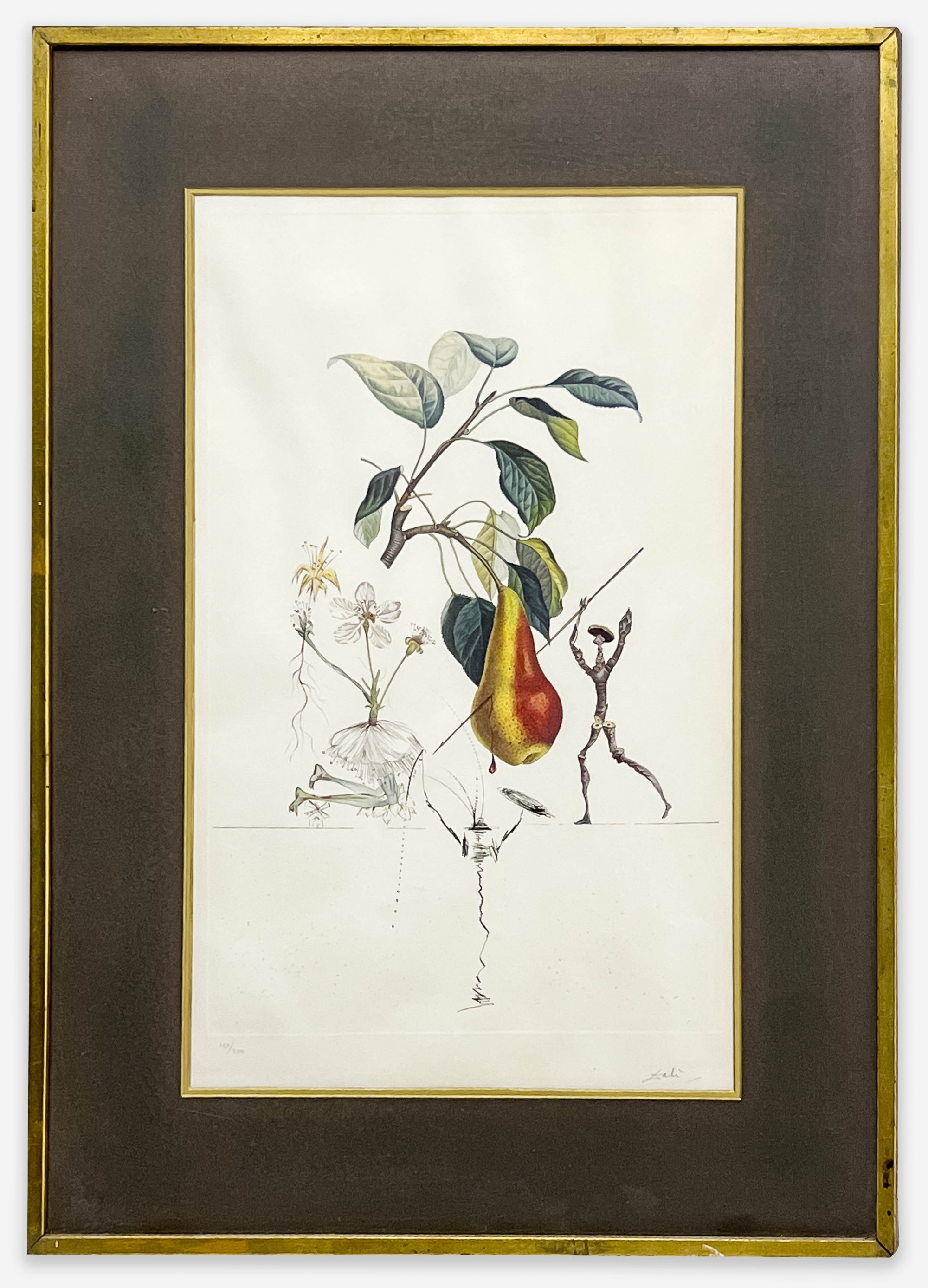 Salvador Dalí | Poire Don Quixote (from FlorDali/Les Fruits) (1969 ...