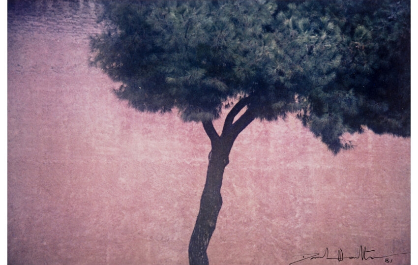 David Hamilton | Group of 6 Landscape Photographs (1981) | MutualArt