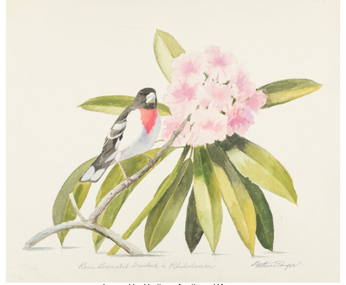 Arthur B. Singer | Group of Eleven Woodland Bird Paintings | MutualArt