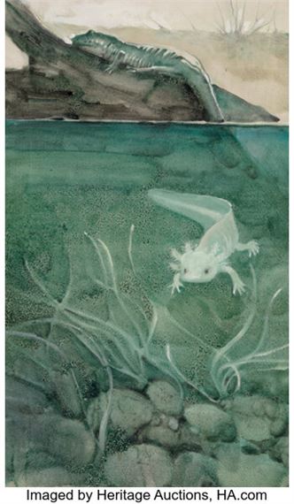 Walter Rane | The Origin of the Species, interior illustrations (12 ...