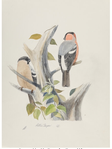 Arthur B. Singer | Group of Eleven Woodland Bird Paintings | MutualArt