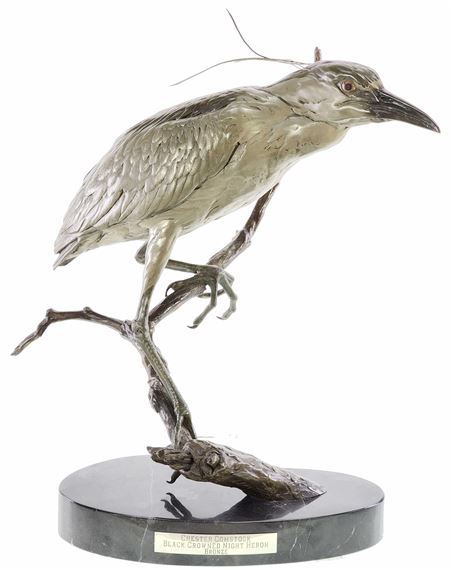 Chester Comstock | Black Crowned Nigh Heron | MutualArt