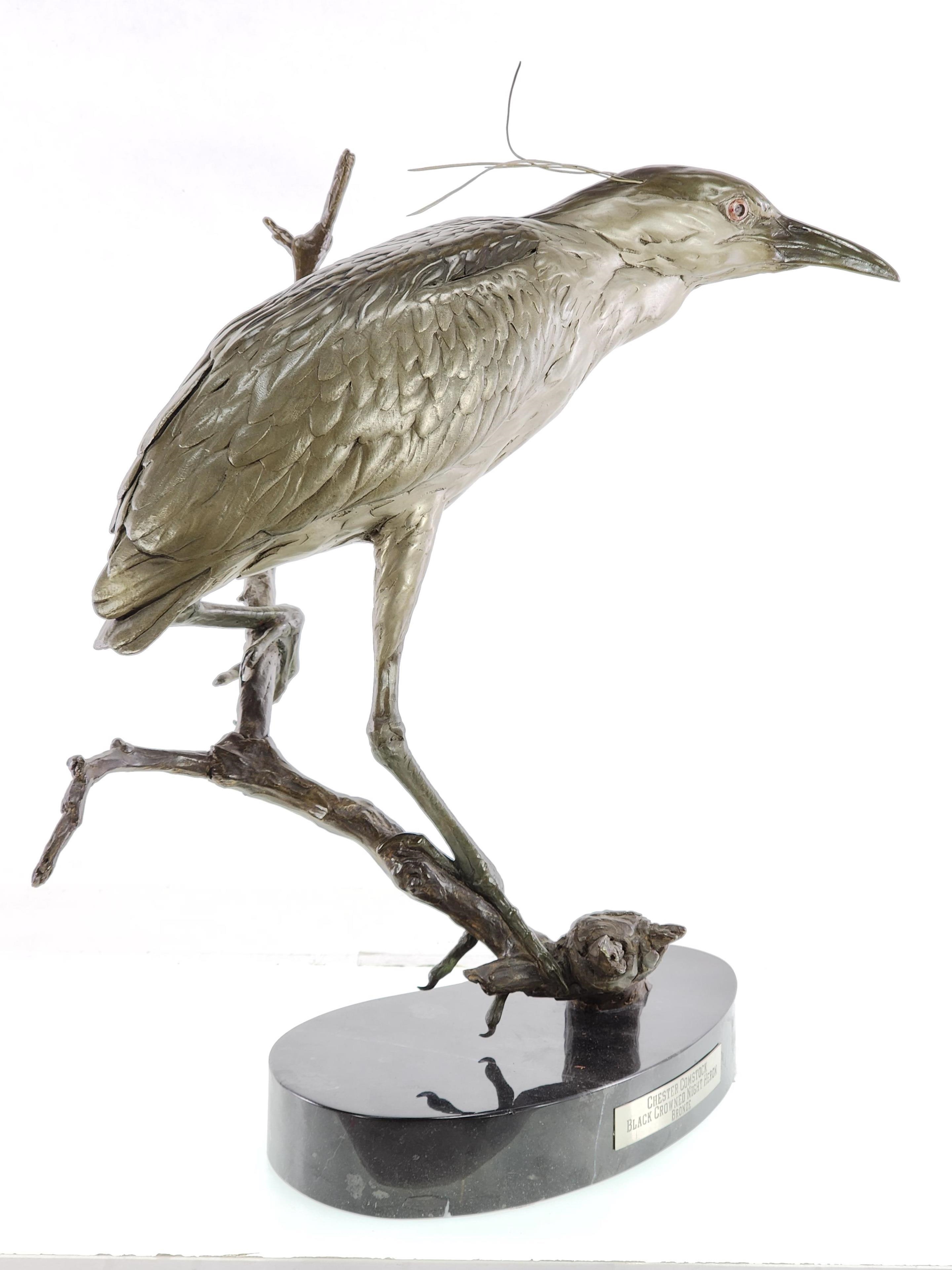 Chester Comstock | Black Crowned Nigh Heron | MutualArt
