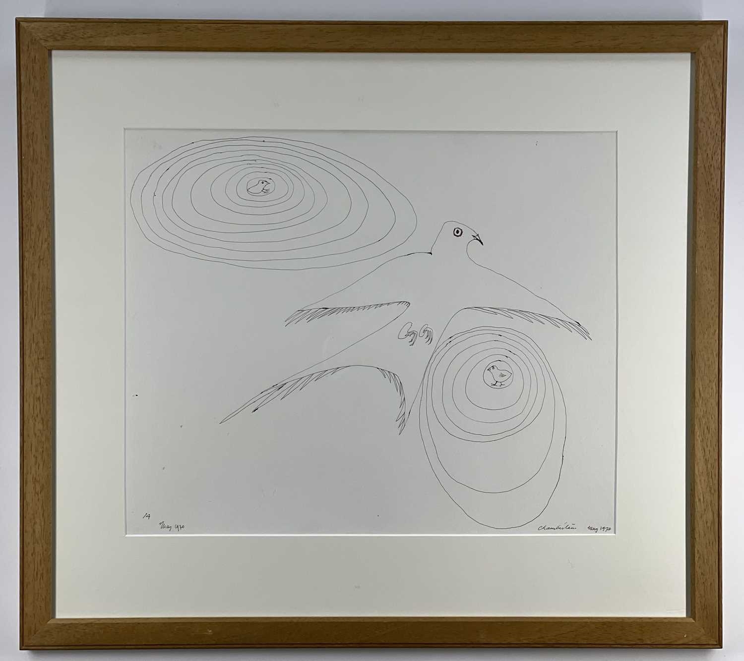 Brenda Chamberlain | Dove (1970) | MutualArt