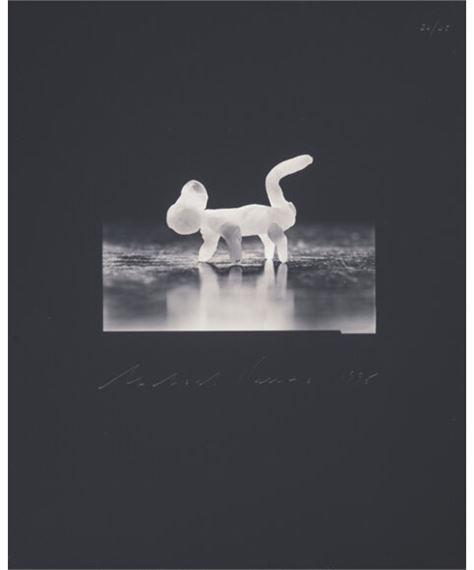 Michael Kenna | Paolo's Beeswax Dog (from Monique's Kindergarten series ...
