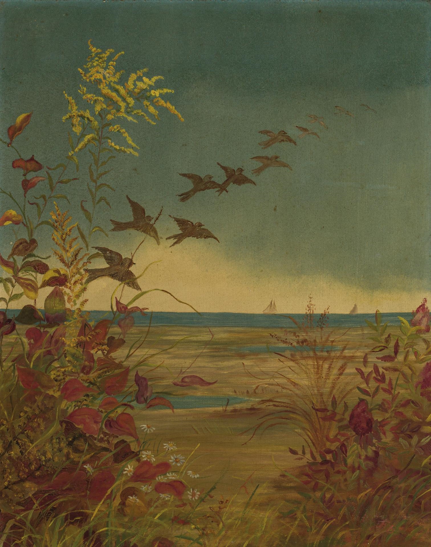 Fidelia Bridges | Bird Studies | MutualArt