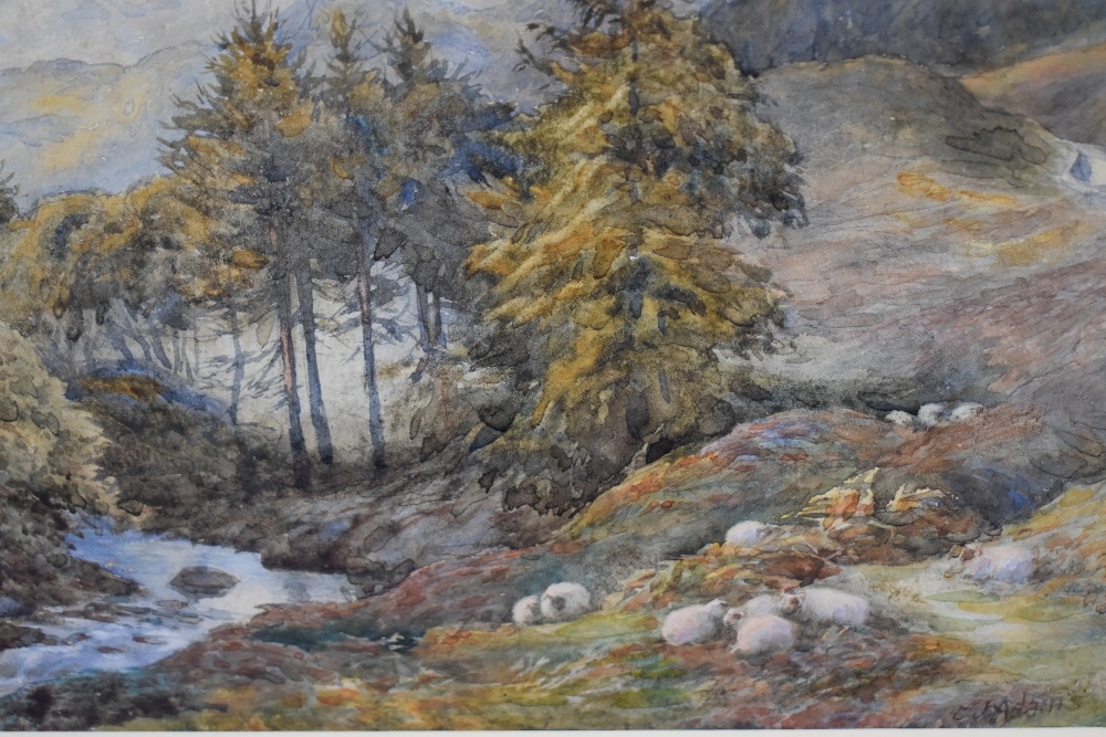 Charles James Adams | Sheep within a mountainous landscape with stream ...