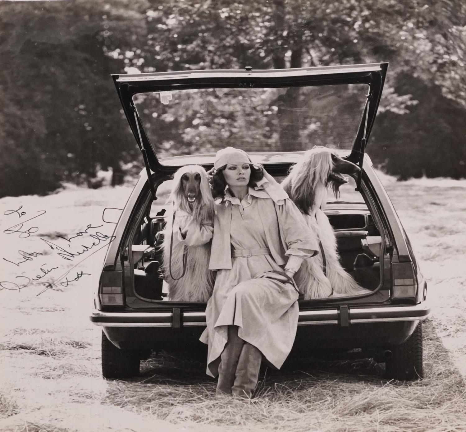 Barbara Tester | Portrait of Afghan Ranjitsinhji of Jagrai-ranji ...