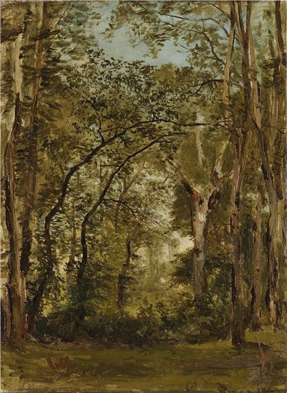 Julius Eduard Marak | PRŮHLED DO LESA (1890) | MutualArt