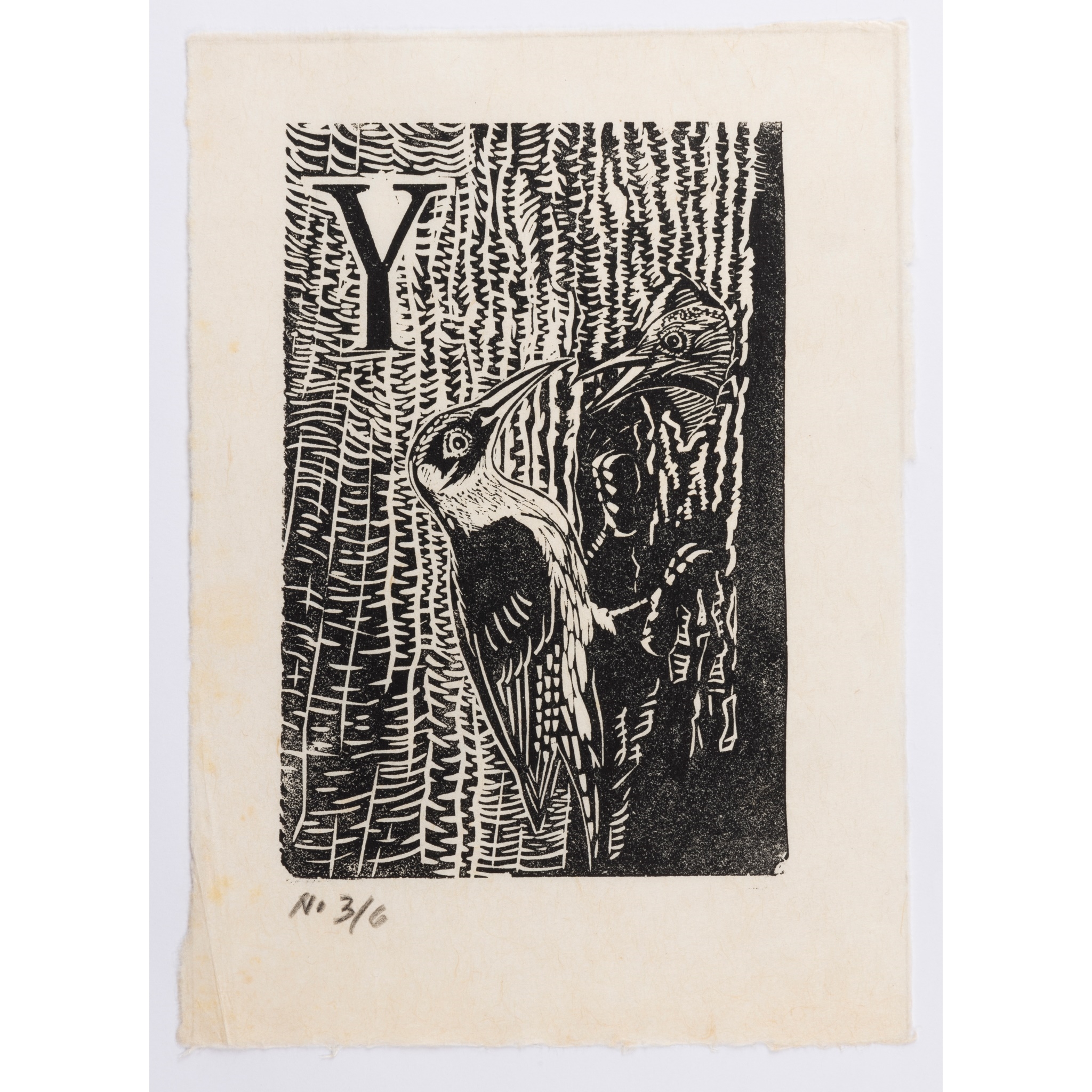 Enid Marx | Animal Alphabet | MutualArt