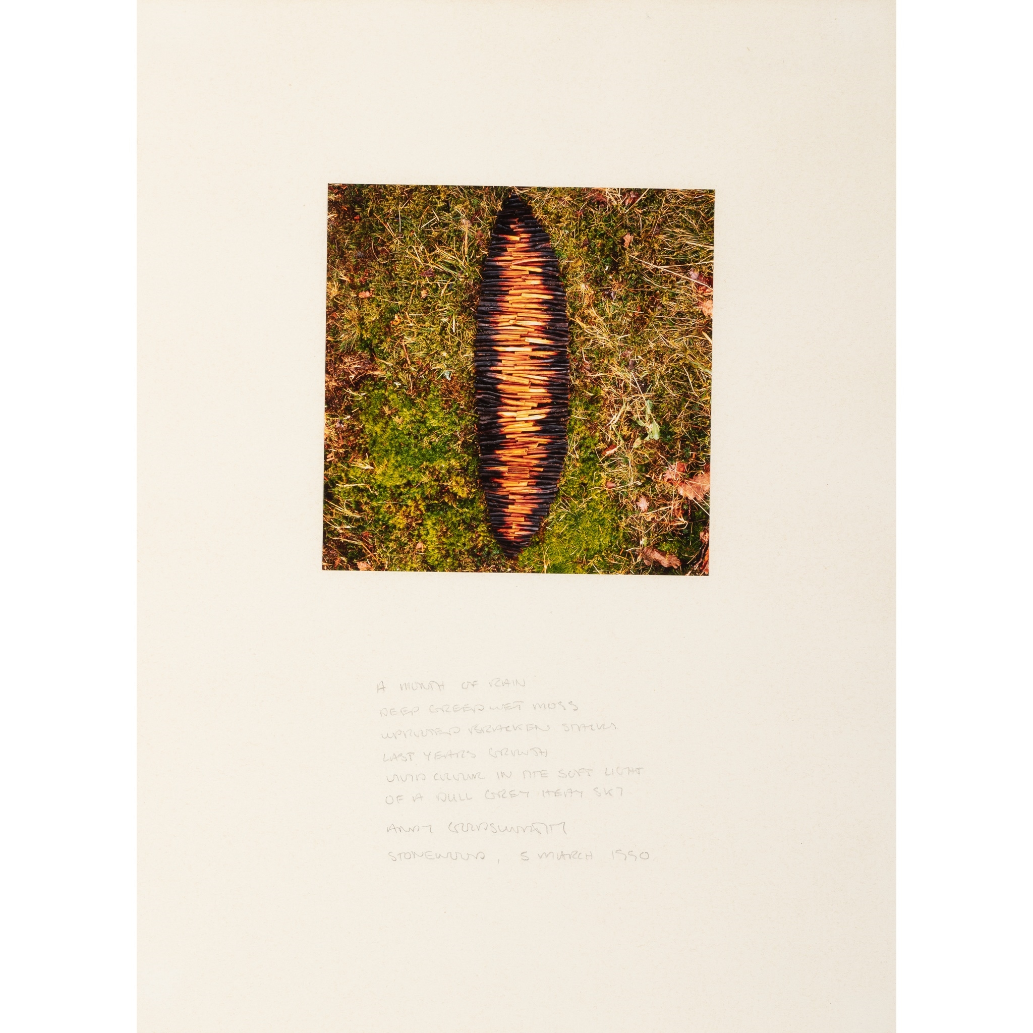 Andy Goldsworthy | Dandelions collected on the way to Bretton laid ...