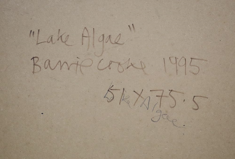 Barrie Cooke | LAKE ALGAE (1995) | MutualArt