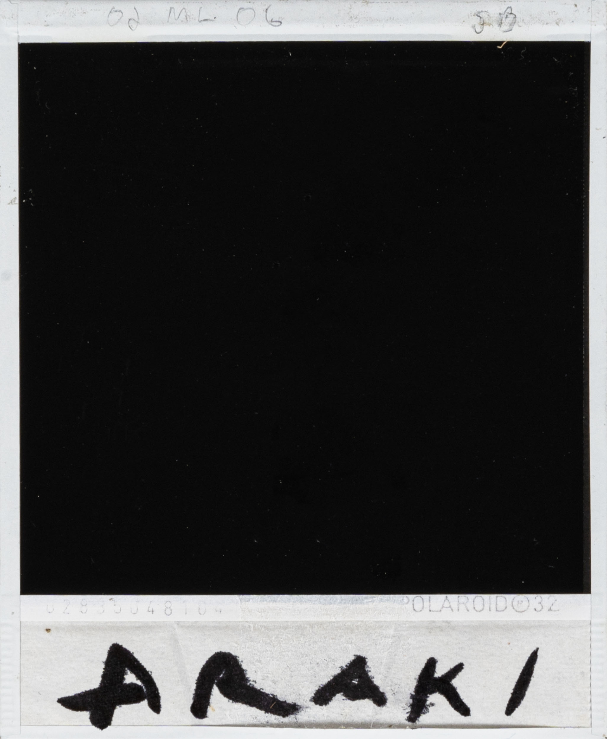 Nobuyoshi Araki | Untitled | MutualArt