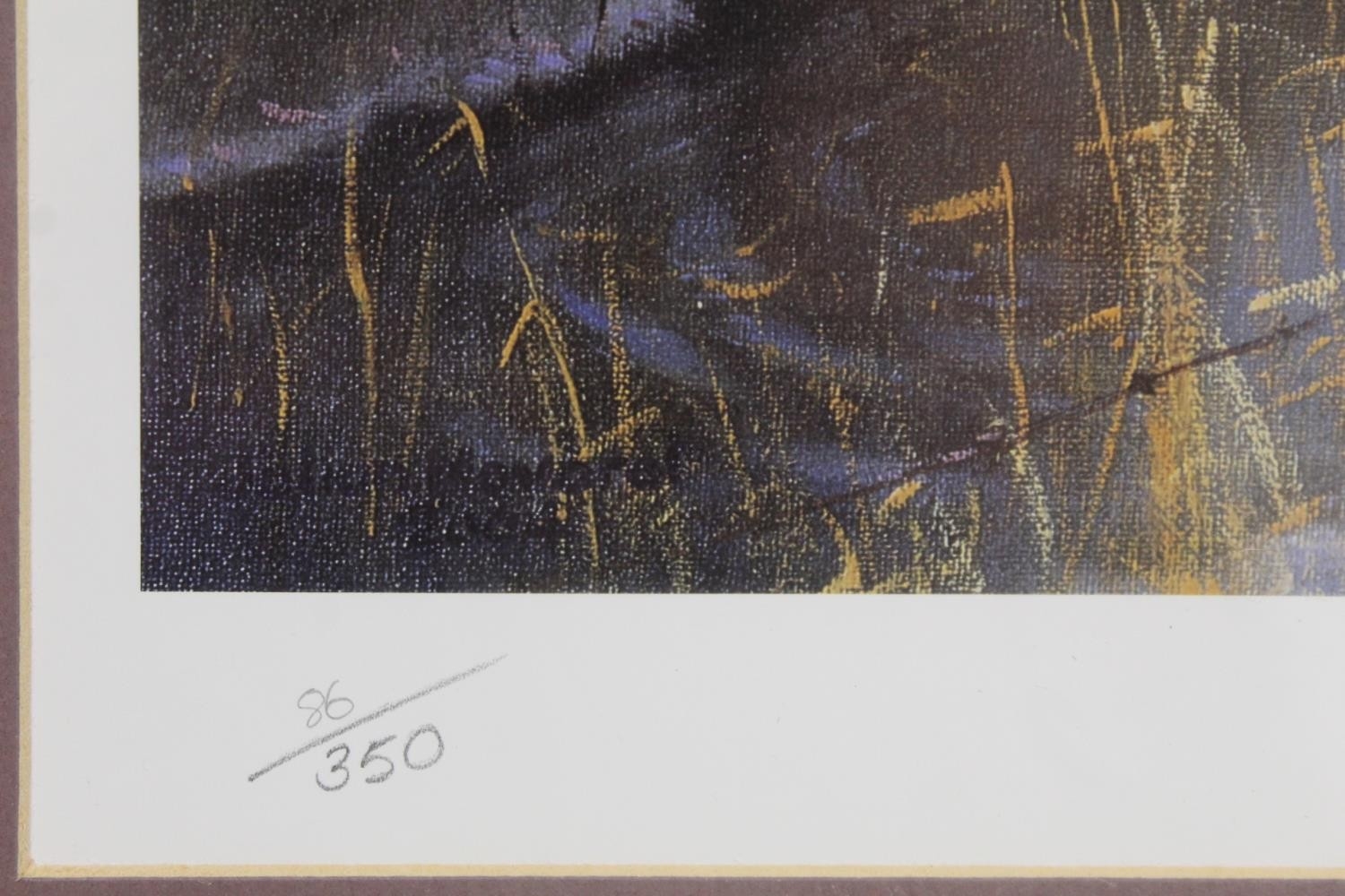 Julian Novorol | Wigeon ducks flying up from cover | MutualArt