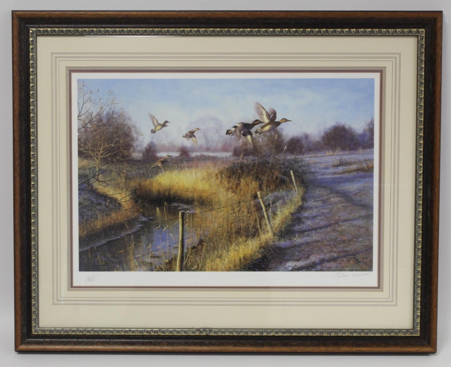 Julian Novorol | Wigeon ducks flying up from cover | MutualArt