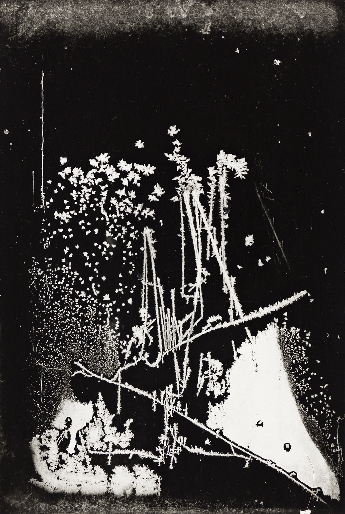 Frost On Window Minor White