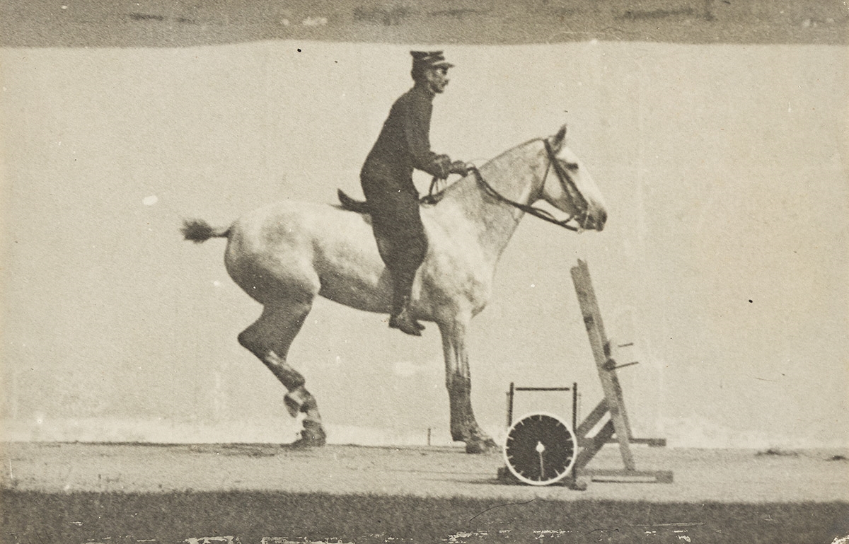 Etienne-Jules Marey | Chronophotographie, Sauts de l’homme en blanc ...