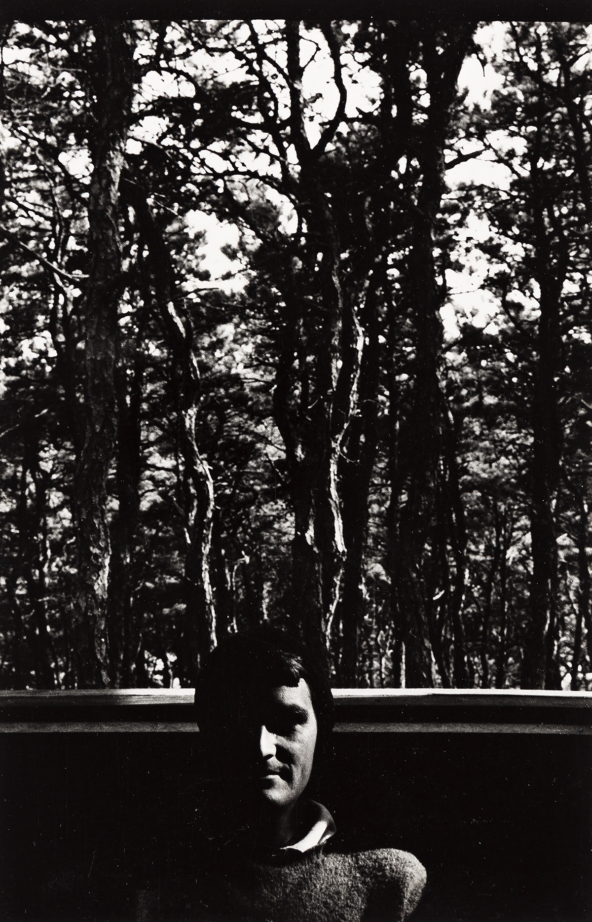 Arnold Newman | Budd Hopkins. (1964) | MutualArt