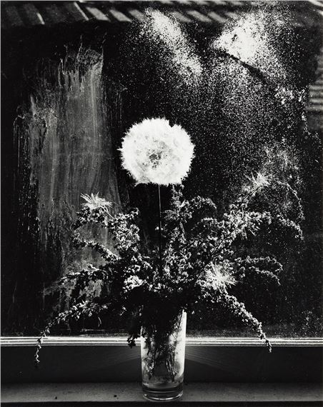 Paul Caponigro | Dried Flowers. (1965) | MutualArt