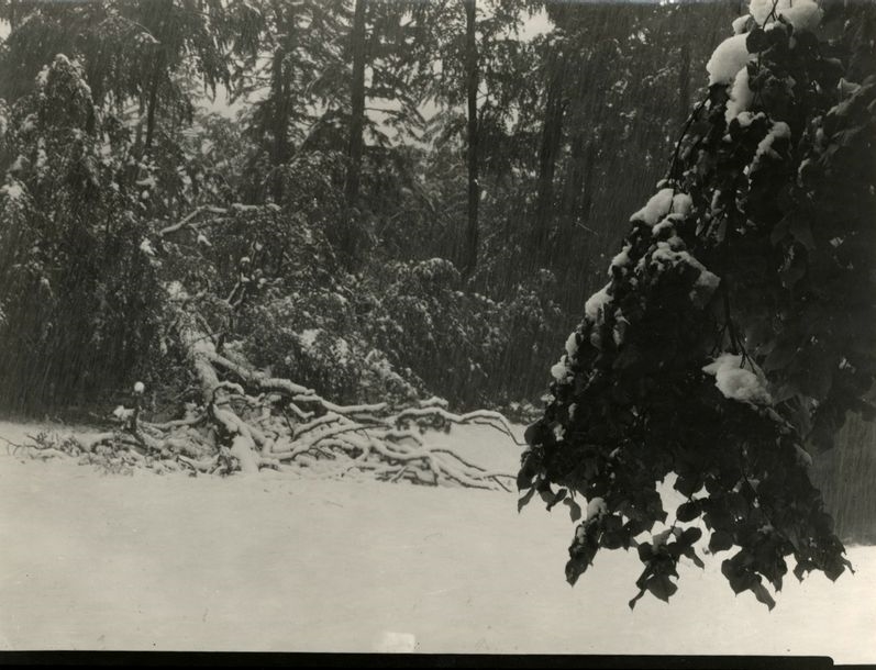 Josef Sudek | Portrait photographique simultané de Sudek (Simultaneous ...