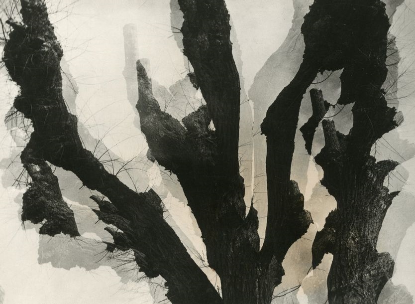 César‏ Domela | Formal Studies | MutualArt