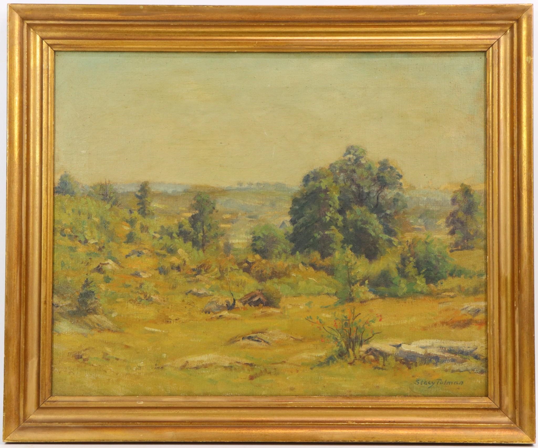 Stacy Tolman | Hilly landscape with trees and brush | MutualArt