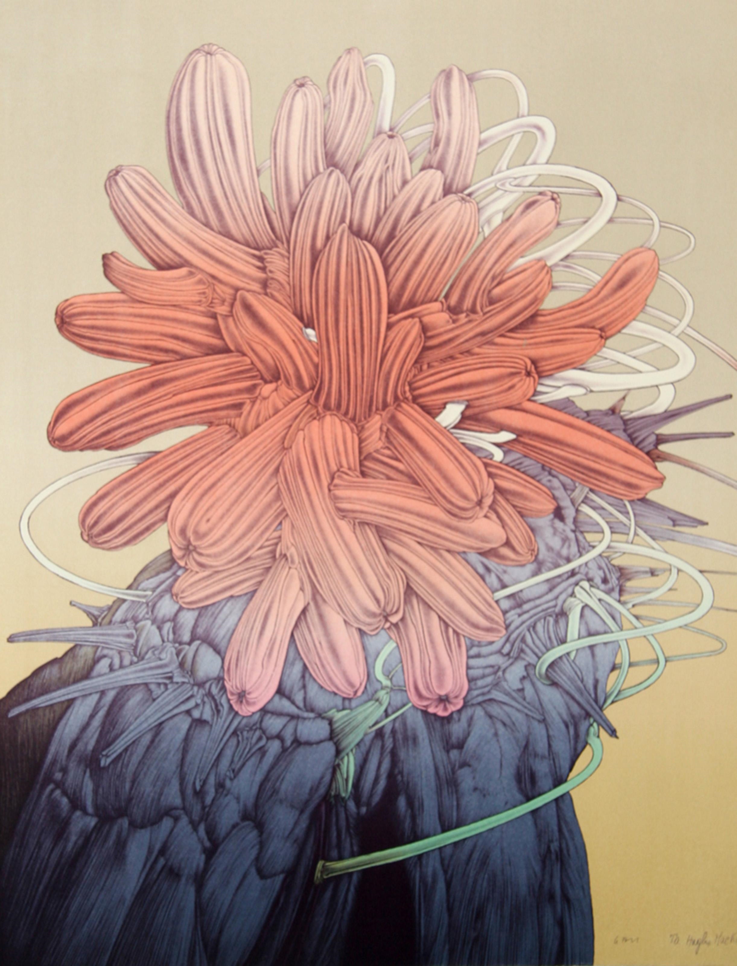 Alain Le Foll | PEPPER PLANT (Circa 1980) | MutualArt