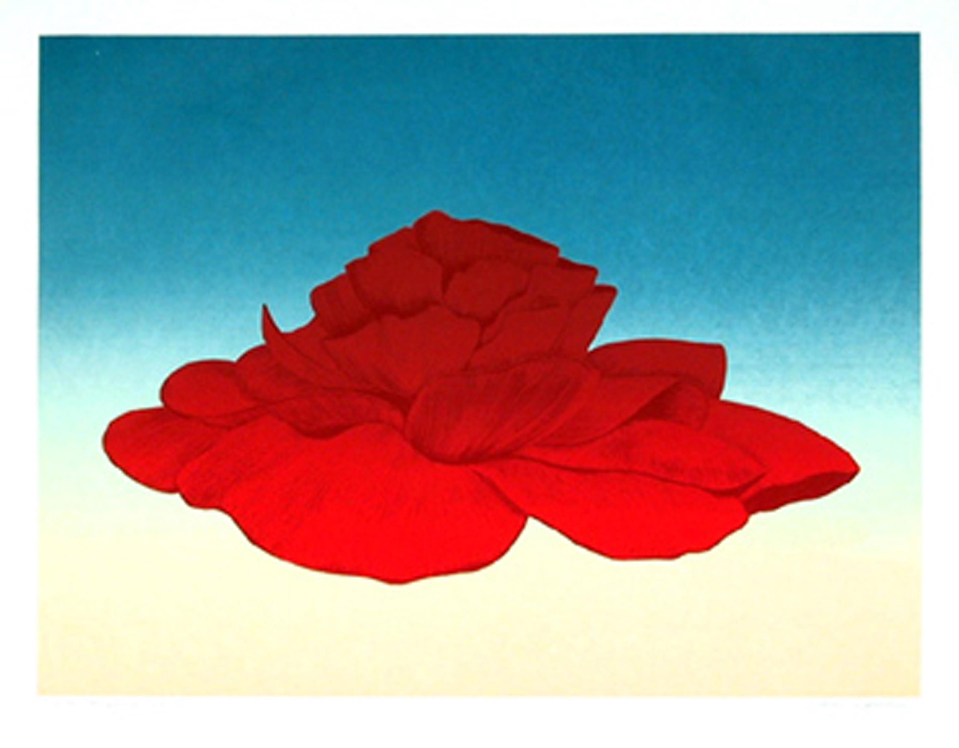 John Cederstrom | POPPY BEGONIA FLOWER (Circa 1975) | MutualArt