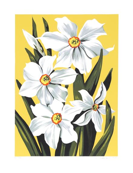 Lowell Nesbitt | DAFFODILS (1980) | MutualArt