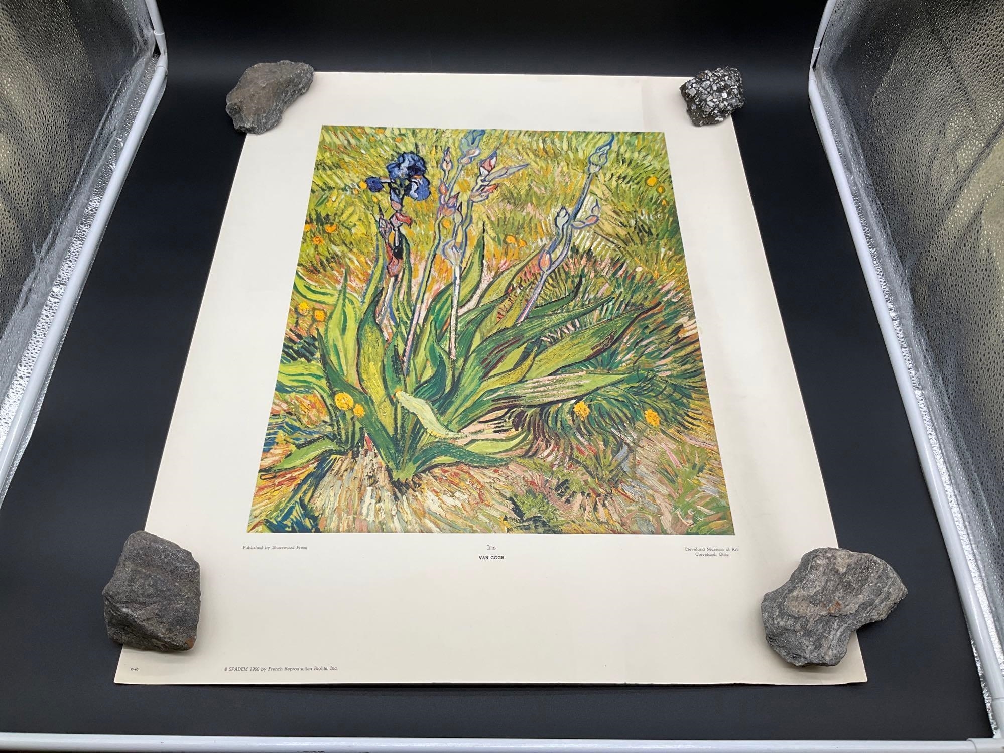 Vincent Van Gogh | A print of Iris (1960) | MutualArt