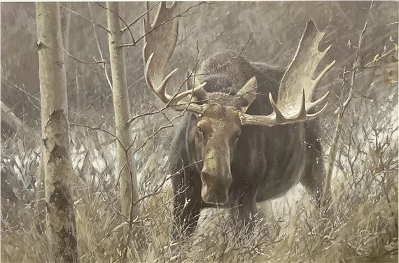 Robert McLellan Bateman | The Challenge-Bull Moose | MutualArt