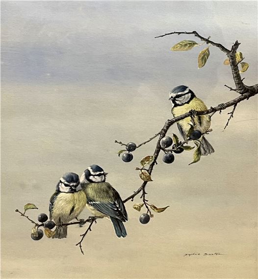 Daphne Baxter | Blue Tits | MutualArt