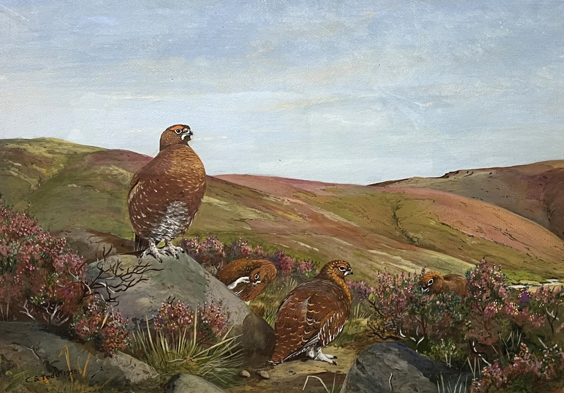 Charles Stanley Todd | red grouse (1958) | MutualArt