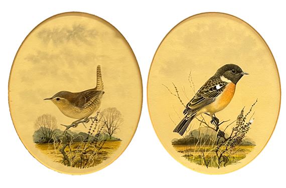 Peter Hayman | a Wren and Stonechat | MutualArt