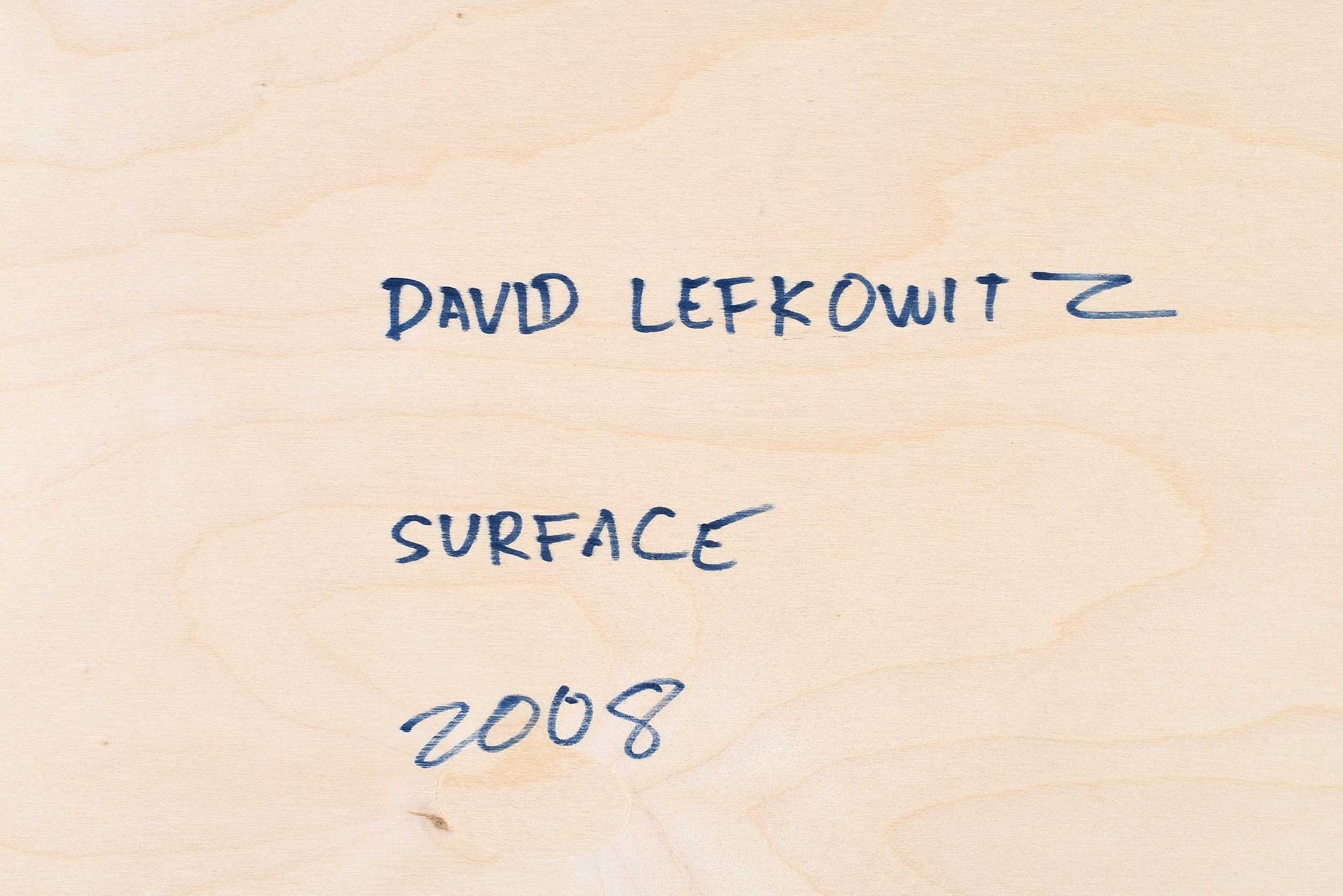 David Lefkowitz | Surface (2008) | MutualArt